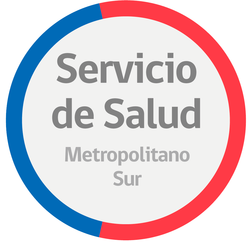 Capacitación E-learning Servicio de Salud Metropolitano Sur